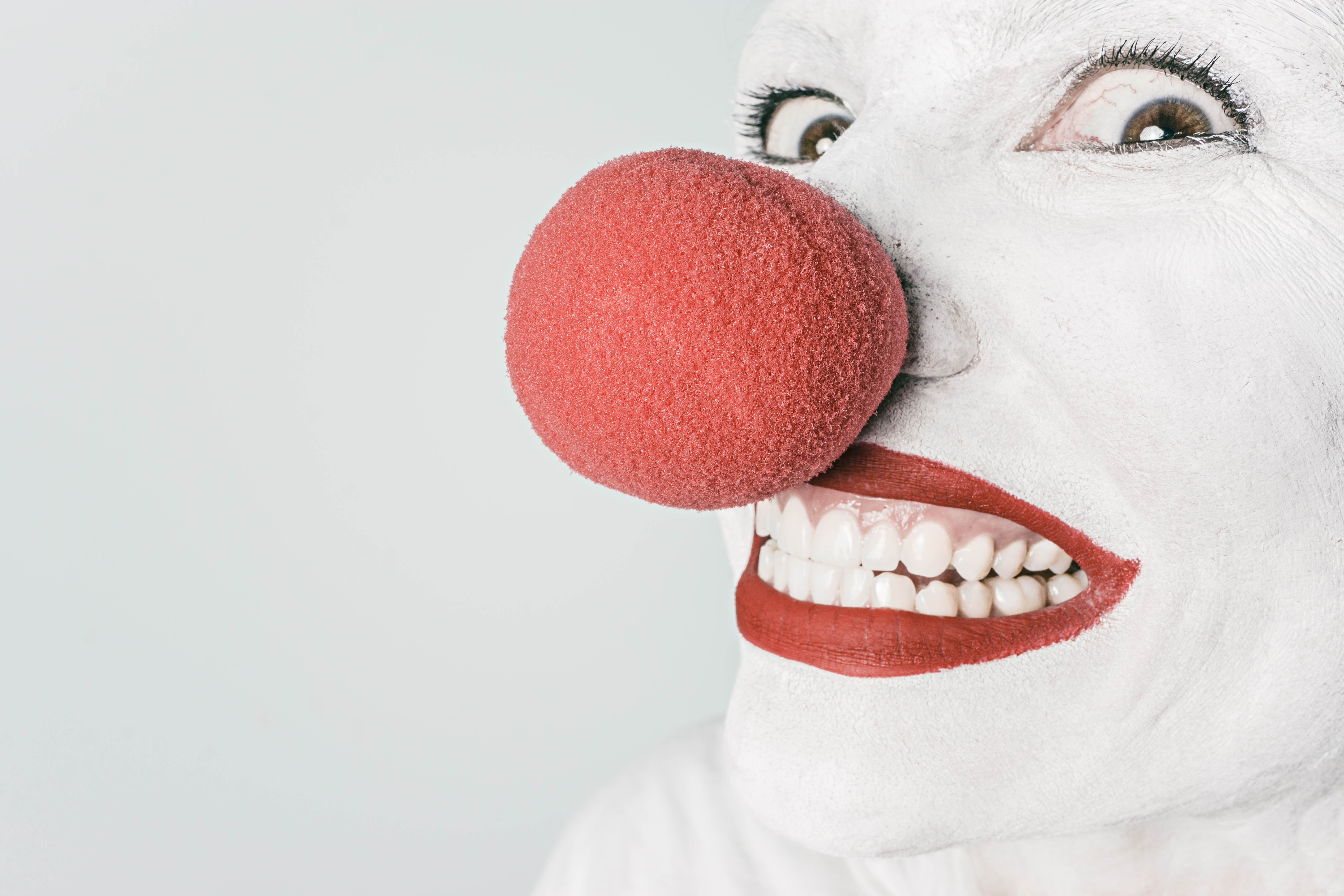 Humor Columnist Blog | Sheila Moss writing about the funny things in ...