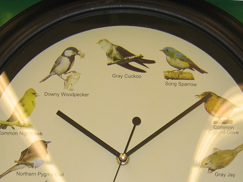 Bird Clock Revisited | Humor Columnist Blog