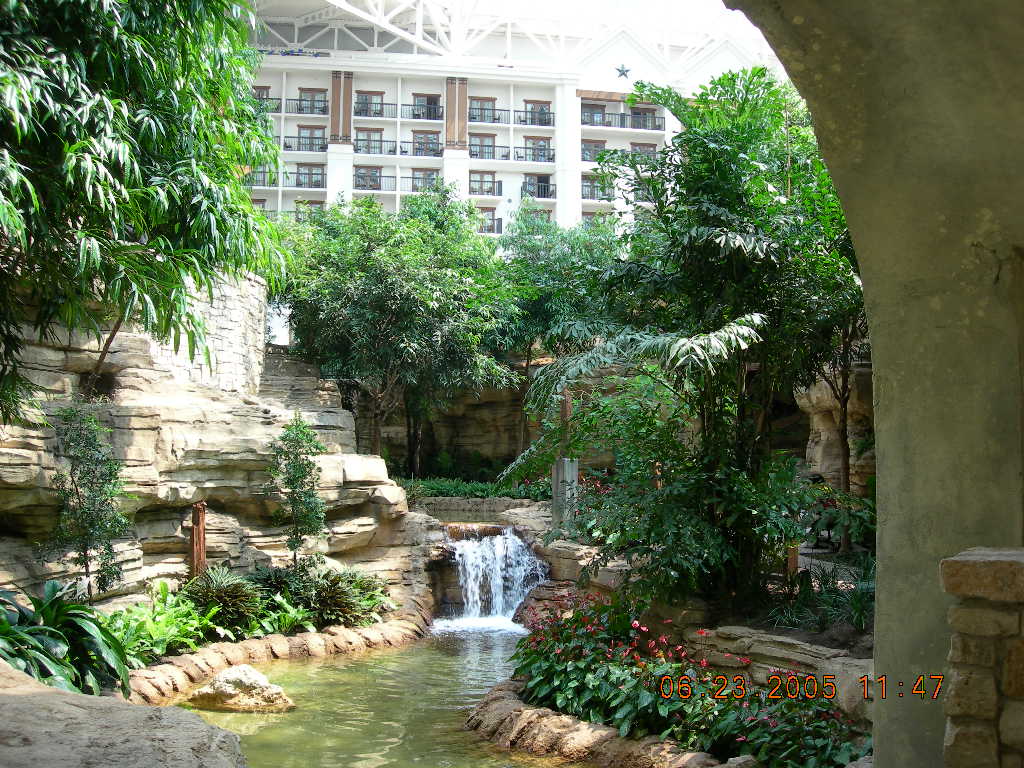 Dear Gaylord Texan | Humor Columnist Blog