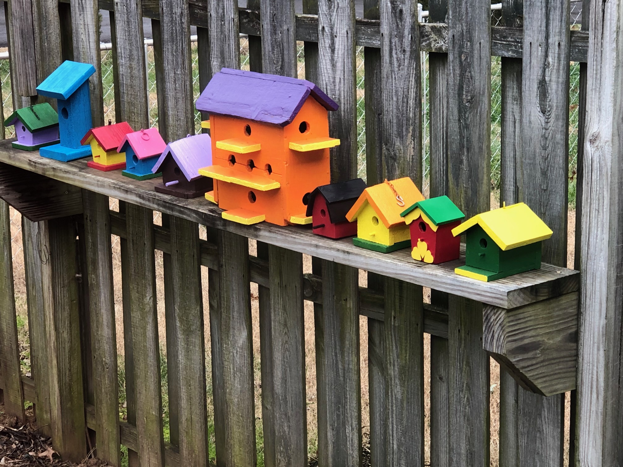 Reviving Dad’s Birdhouses: A Touch of Love in Winter | Humor Columnist Blog